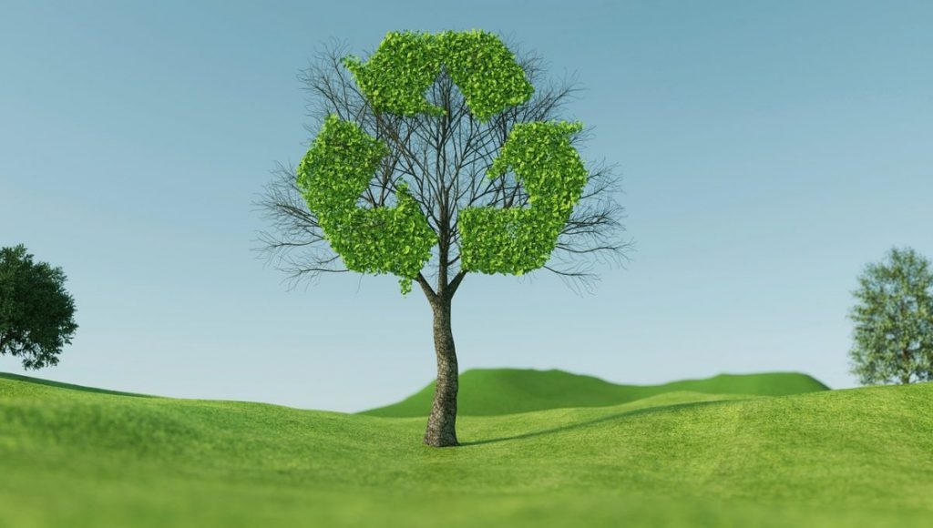 Sherwood Park Waste Management | Waste management