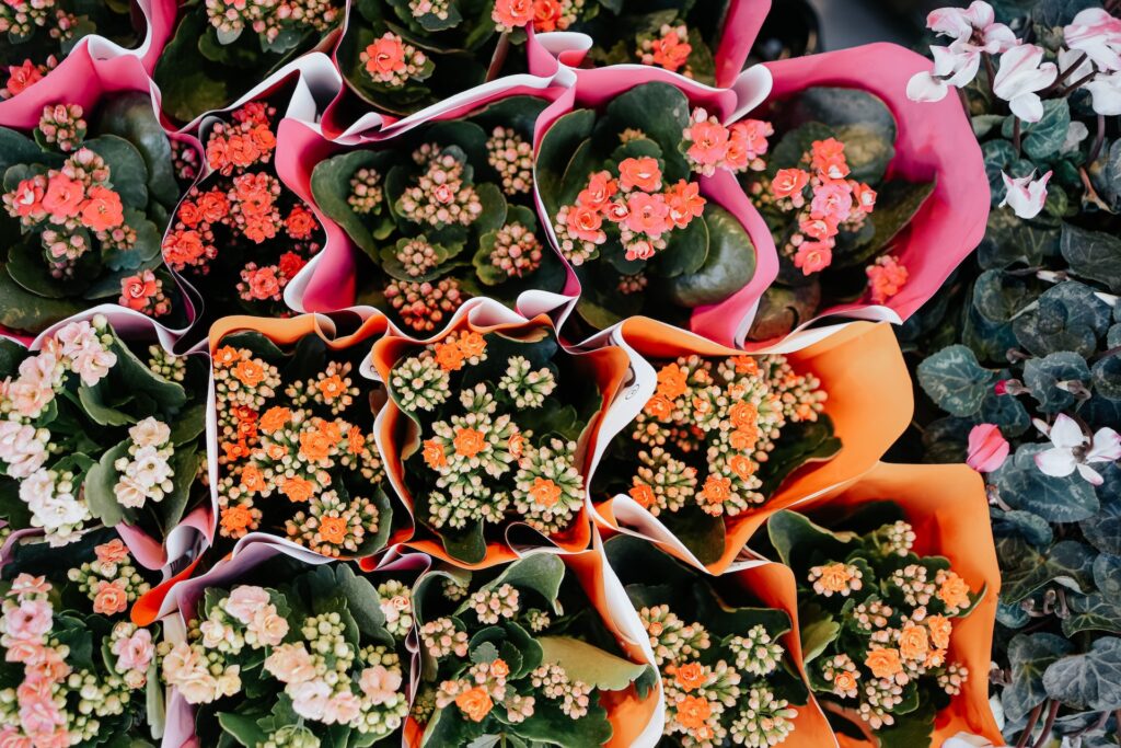 The Lifecycle of Cut Flowers: From Farm to Waste Management | Waste ...